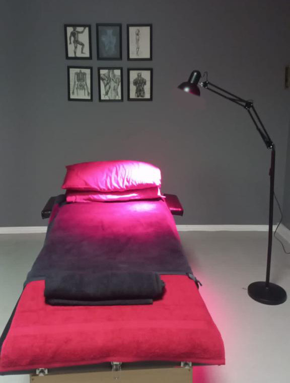 PAR Therapy Lazer Stand - Biometrix Labs